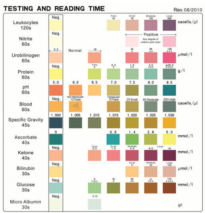 One Step Dipstick Urine Test Strip Clinical Urine Test Strip one-step-dipstick-urine-test-strip-clinical-urine-test-strip